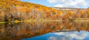 Visit the #5 Inn for Stunning Hudson Valley Fall Foliage